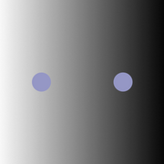 Grey Paint | Middle Grey - Neutral Grey - 18% Gray - Munsell N5